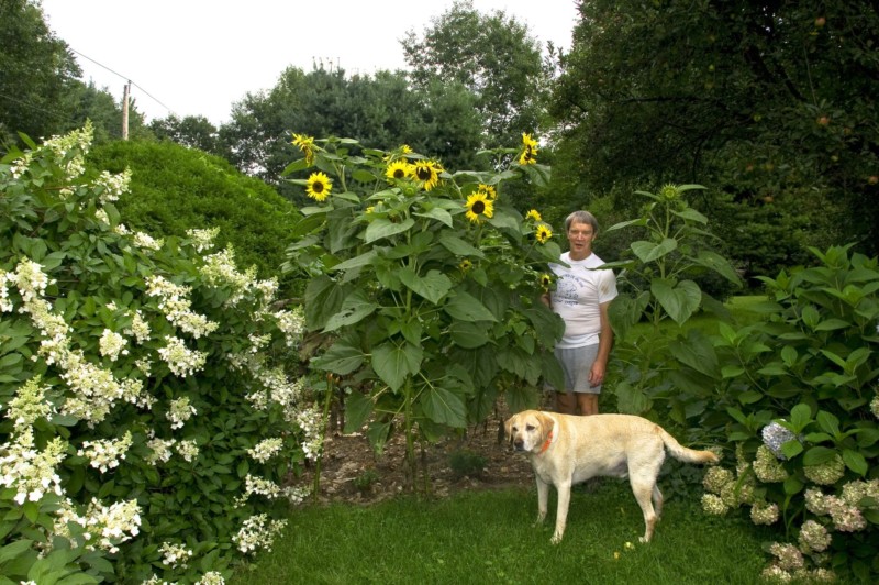 Remembering Roger Blake – Norwich Historical Society